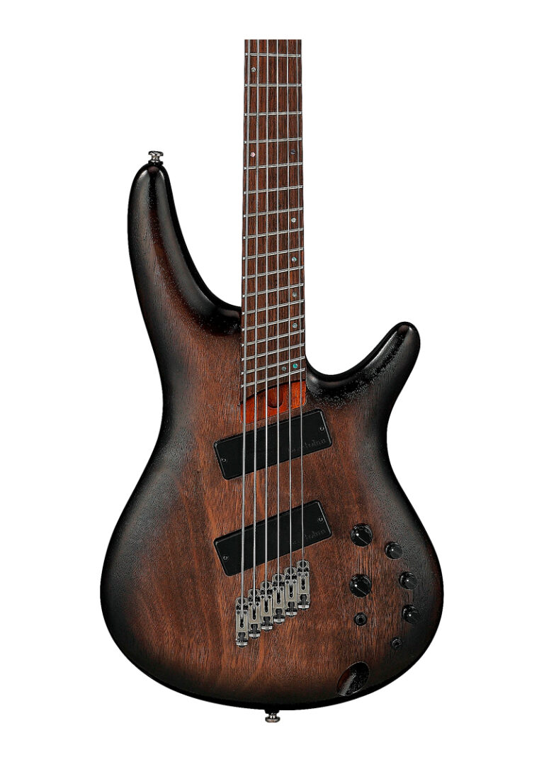 Ibanez SRC6MS 6-String Multi-Scale Electric Bass Black Stained Burst ...
